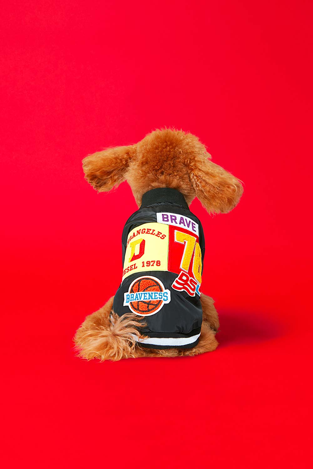 Pet Capsule | Diesel®