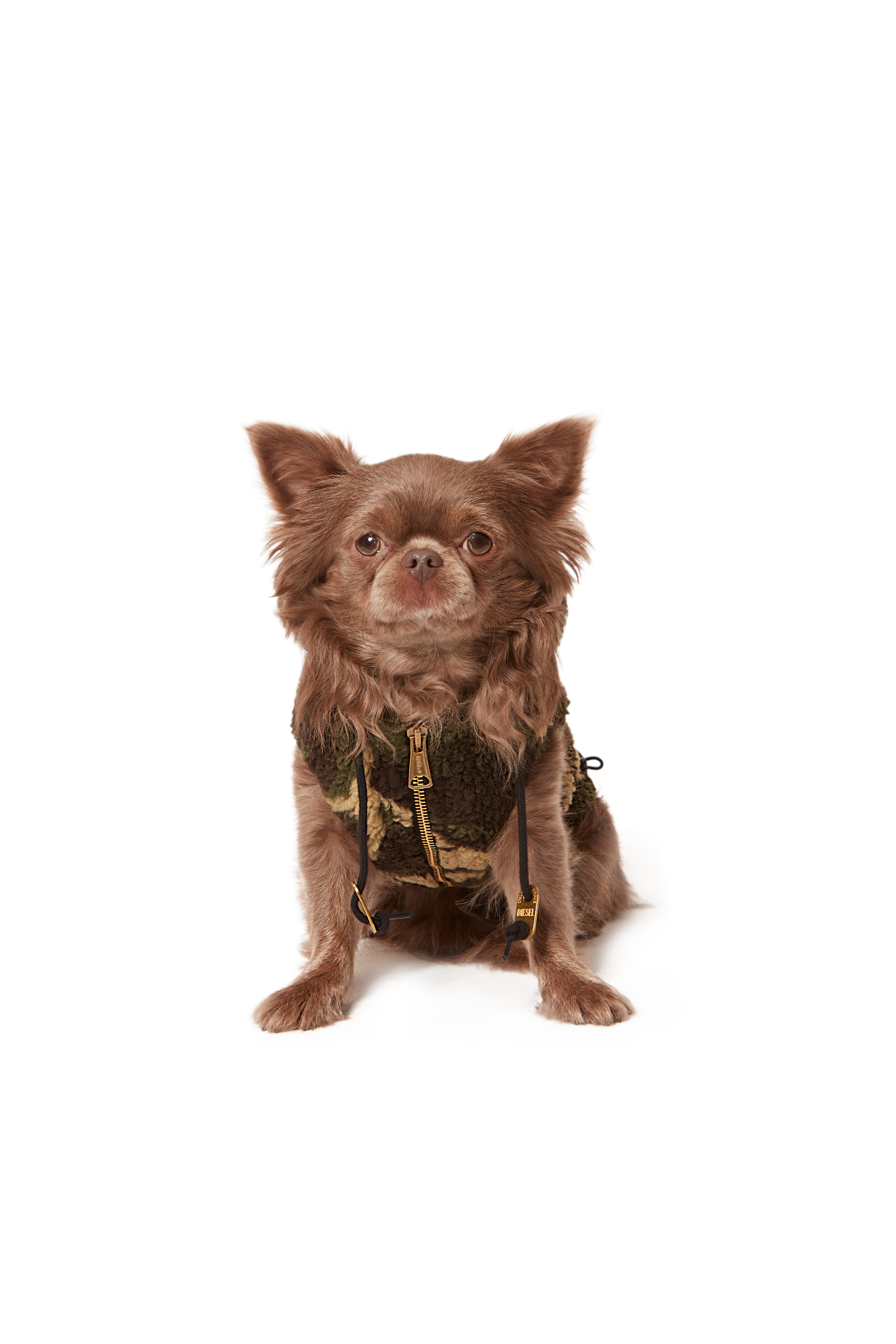 Pet Capsule | Diesel®